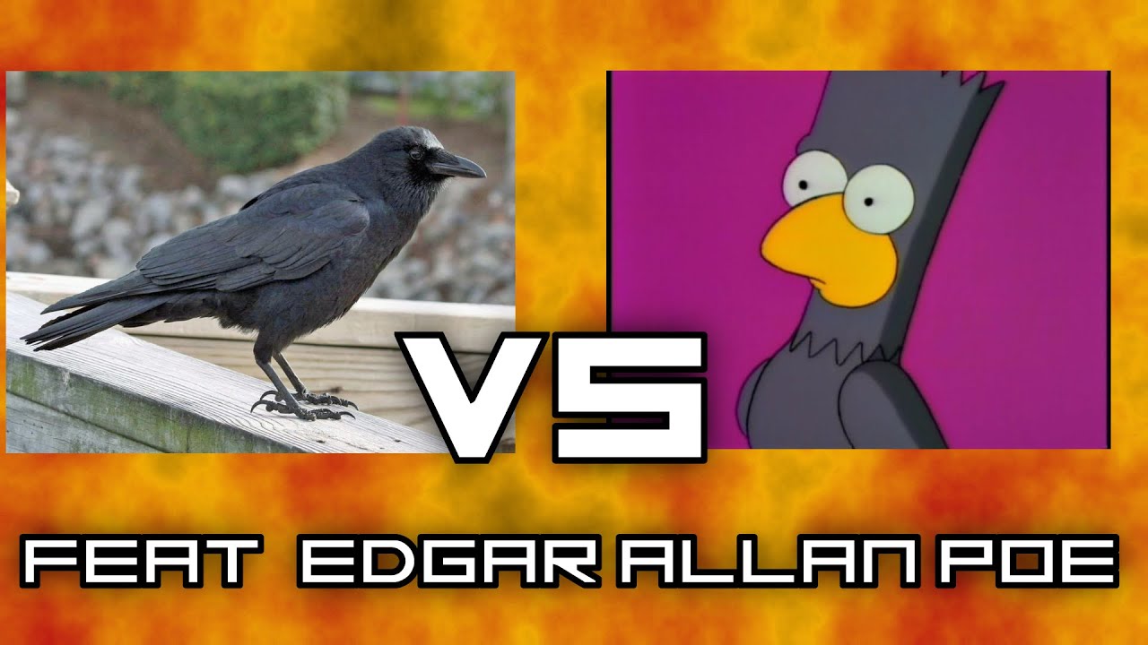 Crows Vs. Ravens, feat. Edgar Allan Poe - YouTube