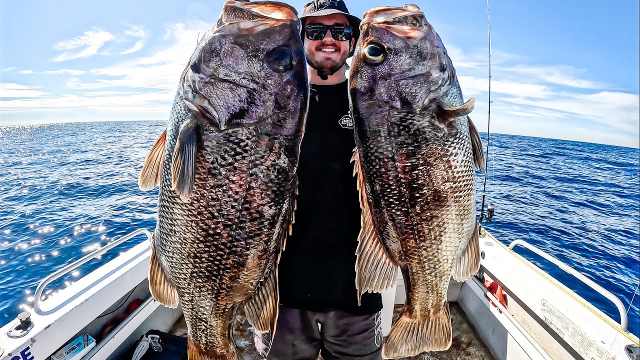 Fishing for WA Dhufish in Perth - YouTube