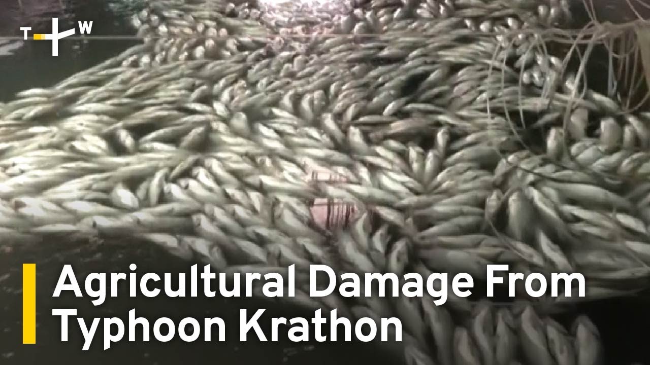 Typhoon Causes Serious Agricultural Damage in Some Parts of Taiwan ...