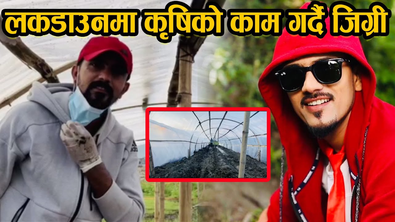 लकडाउनमा जिग्रीको मेहनत, कृषिमा लगाउँदै समय | KUMAR KATTEL LOCKDOWN ...