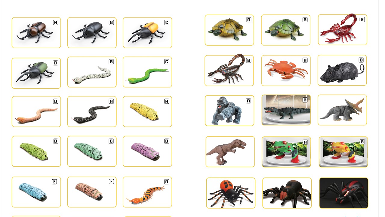 i want to show you the new rc animal toys - YouTube