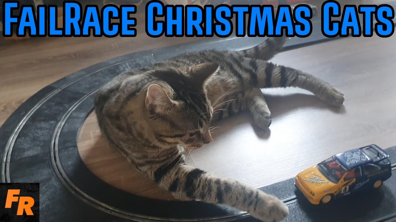 FailRace Christmas Cats ! - YouTube
