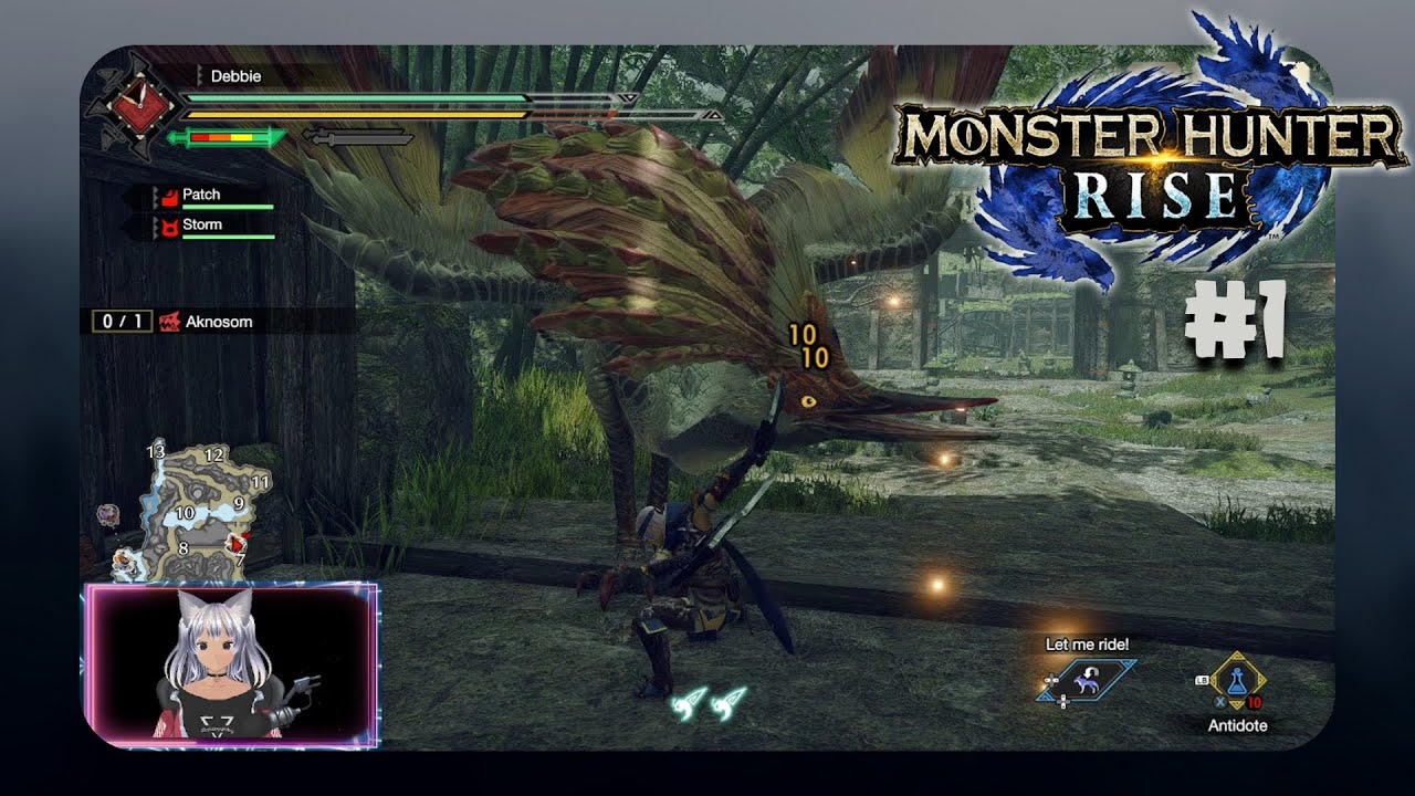 Quest Fail ️ Training 🏋️‍♂️ ️ Redemption | Monster Hunter Rise - YouTube