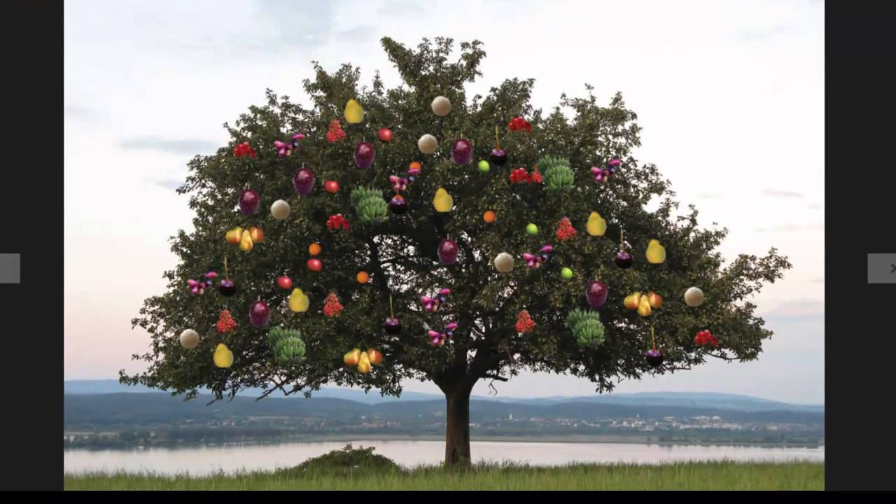 Revelation 22:14 Bible prophecy teaching - YouTube