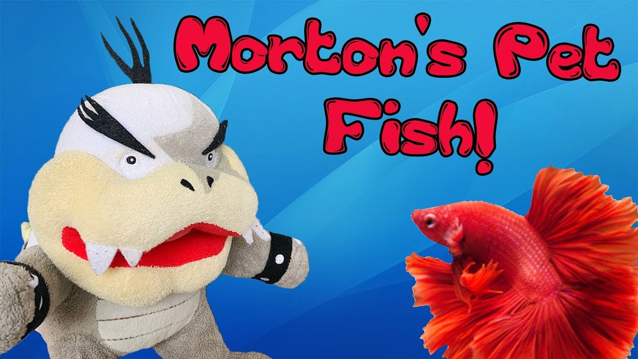 Morton's Pet Fish! - Super Mario Richie - YouTube