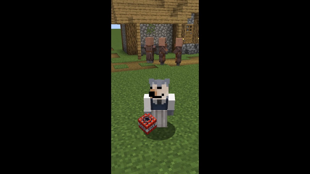 Minecraft - TNT Village - YouTube
