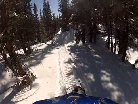 Snowmobile tree ride gone wrong! **(MUST SEE)** - YouTube