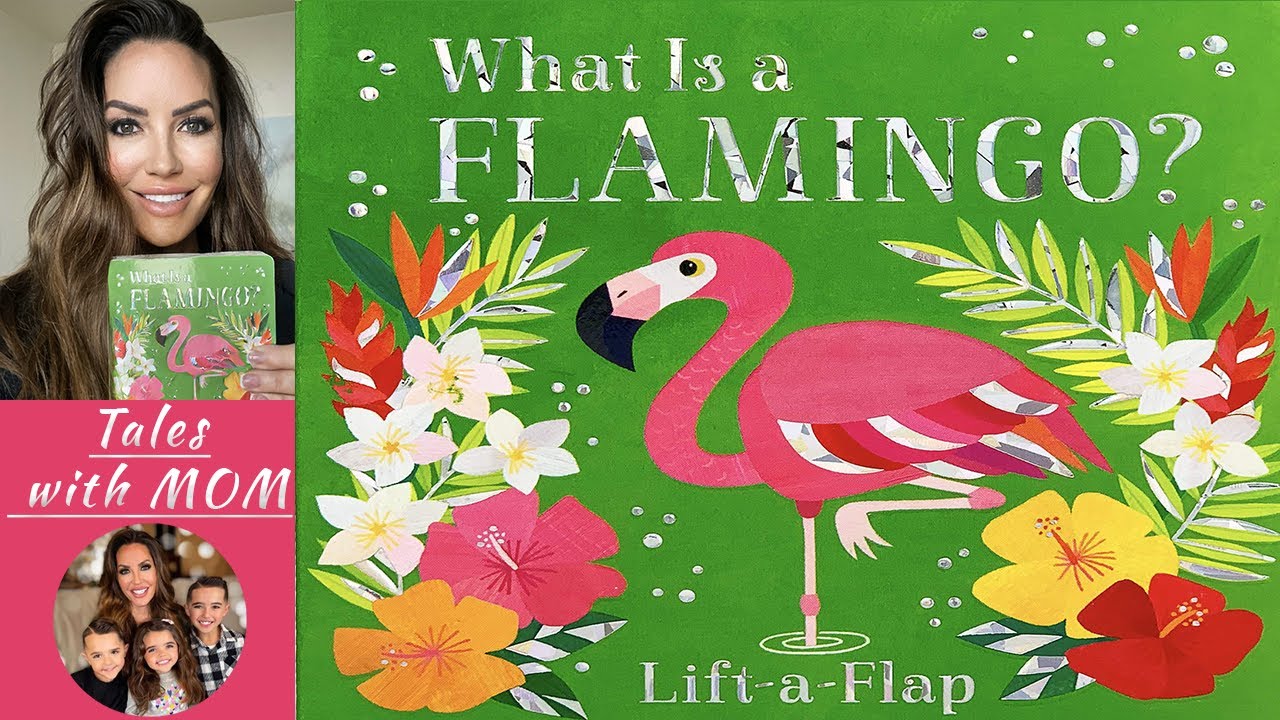 Discover Flamingos! 🦩 | Animated Read-Aloud: 'What is a Flamingo? - YouTube
