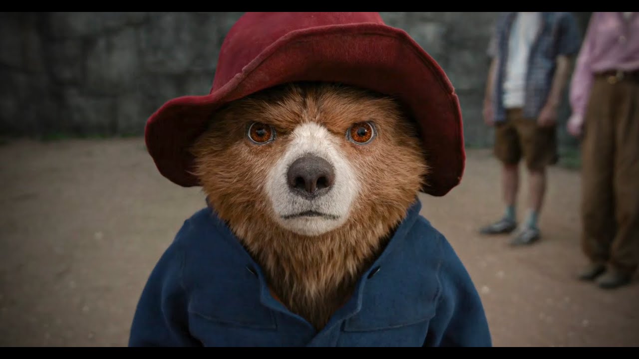 Paddington in Peru (2024) hard stare scene - YouTube