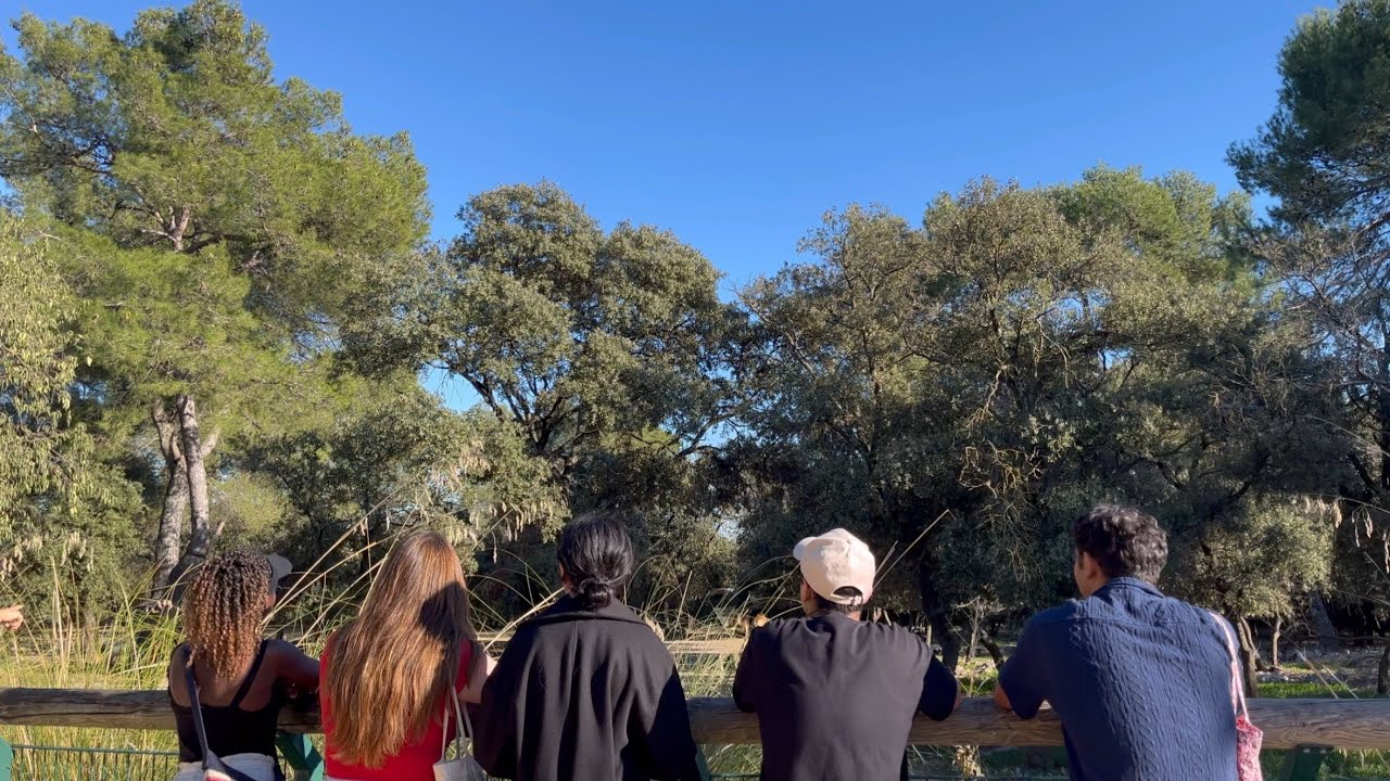 Elinam in Montpellier! | Ep 4 - Animal Kingdom - YouTube