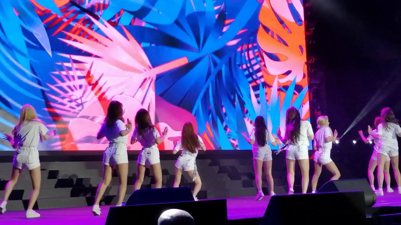 Momoland Concert in Dubai "Havana" - YouTube