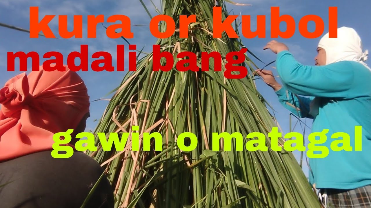 pagawa ng kura//kubol or taguan//para sa hunting//adventures// - YouTube