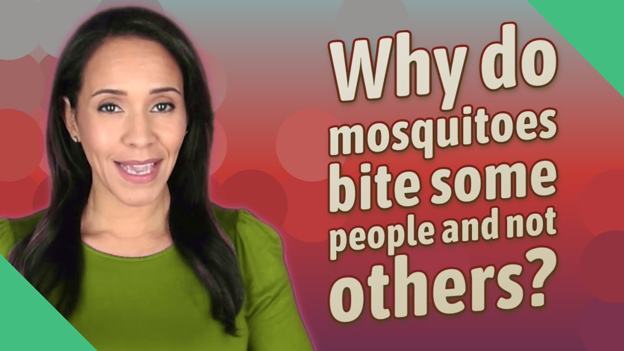 Why do mosquitoes bite some people and not others? - YouTube