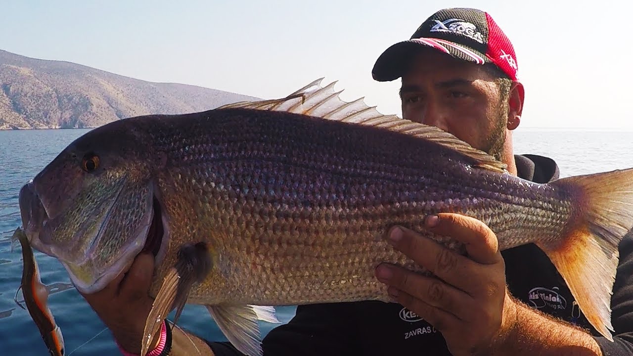 ΜΙΑ ΣΥΝΑΓΡΙΔΑ ΣΤΑ ΓΡΗΓΟΡΑ 🎣 ΑΡΜΑΤΩΜΑ ΣΙΛΙΚΟΝΗΣ ΚΑΙ ΕΝΑ "ΣΚΑΣΜΕΝΟ ...