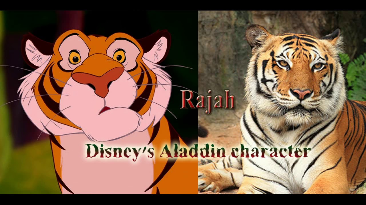 Disney Aladdin Animation Characters in real life 🎬🎬 - YouTube