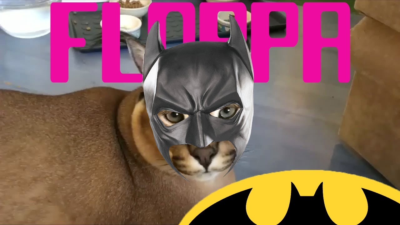 Big Floppa try to say meow, but its batman cat :) - YouTube