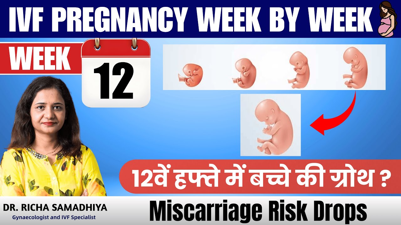 IVF Pregnancy Week by Week- 12th Week Of Pregnancy | End Of First ...