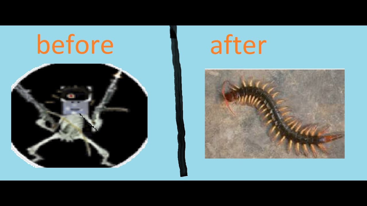 Playing roblox centipede - YouTube