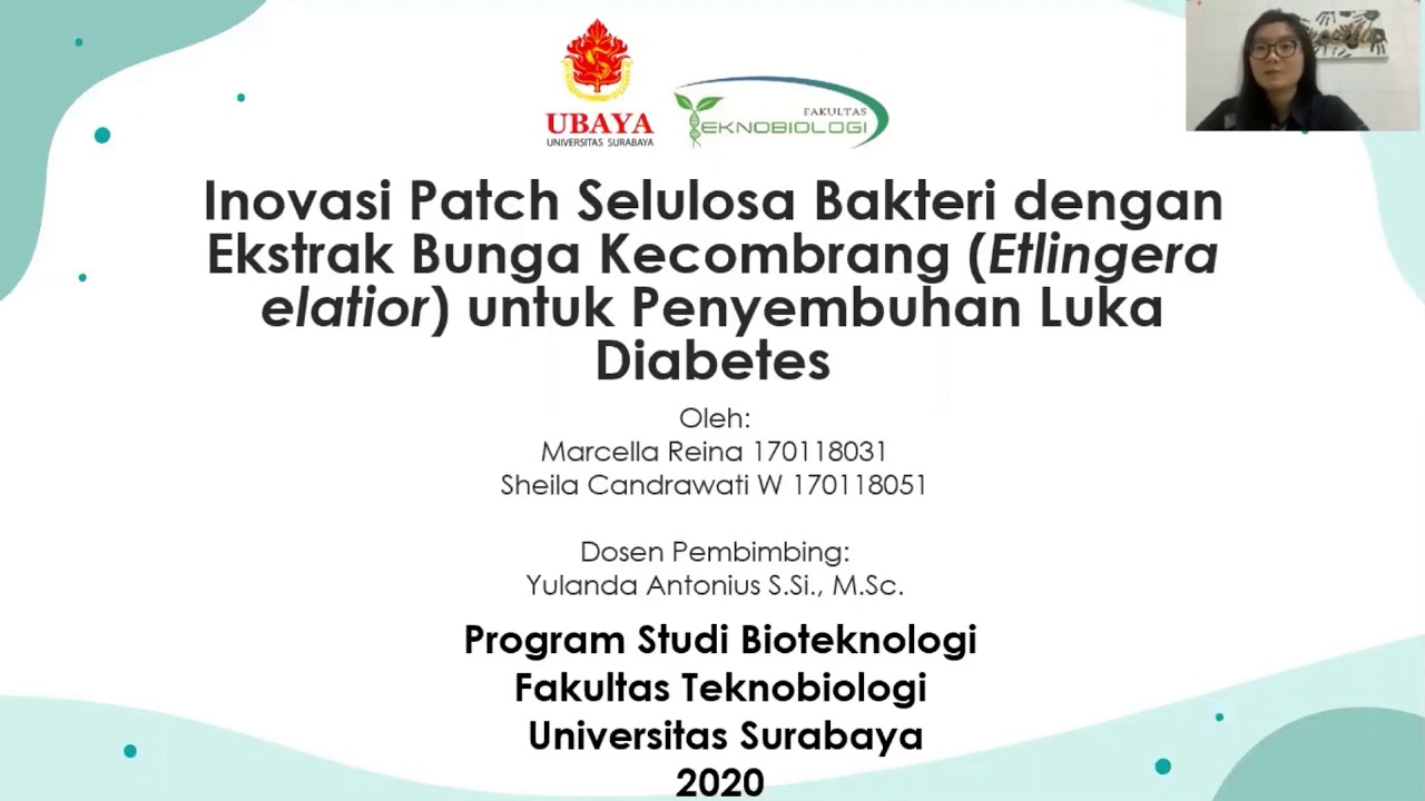 Inovasi Patch Selulosa Bakteri dengan Ekstrak Bunga Kecombrang untuk ...