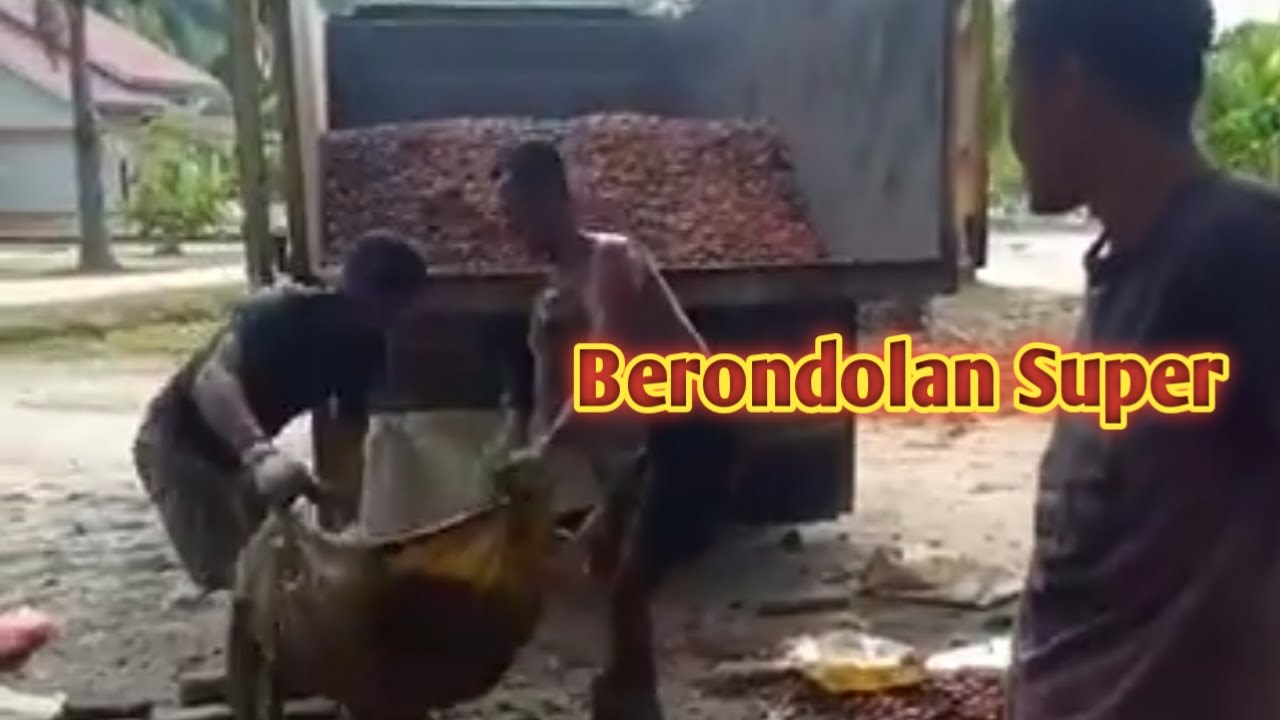 Muat berondolan super cantik - YouTube