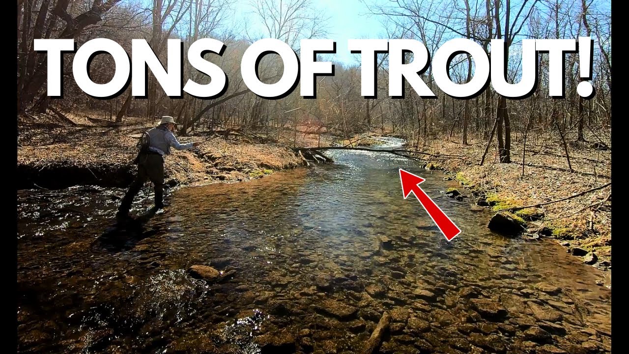 TENKARA FISHING A SMALL PEACEFUL STREAM FULL OF TROUT! (Tenkara Fly ...