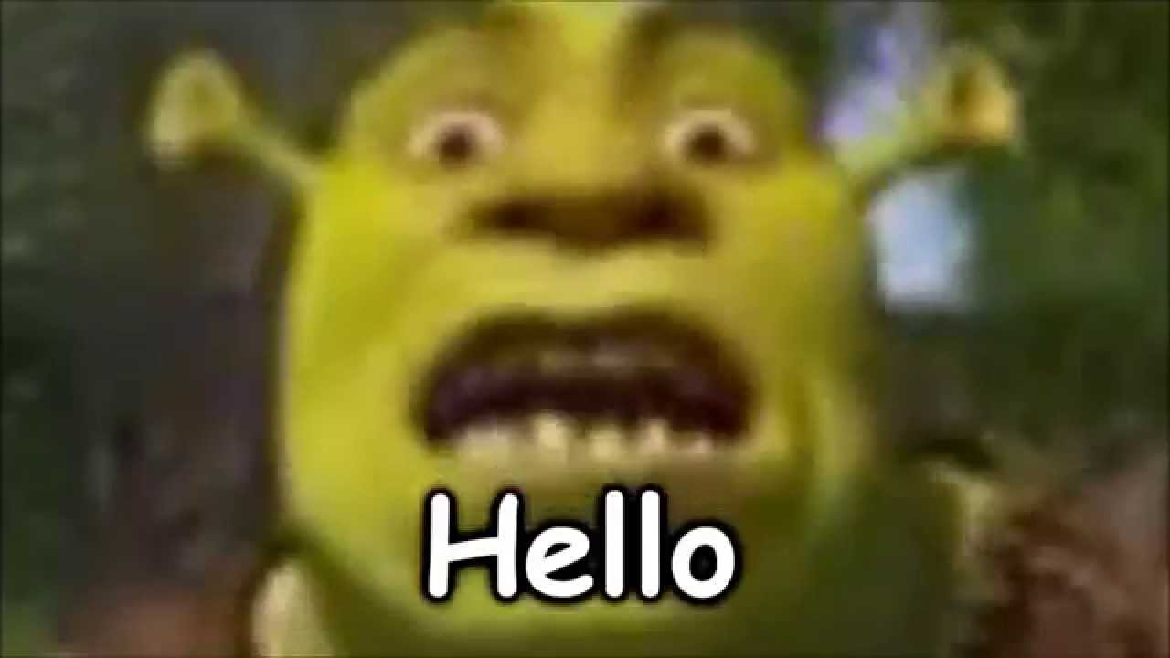 Say hello to my little Shrek - YouTube