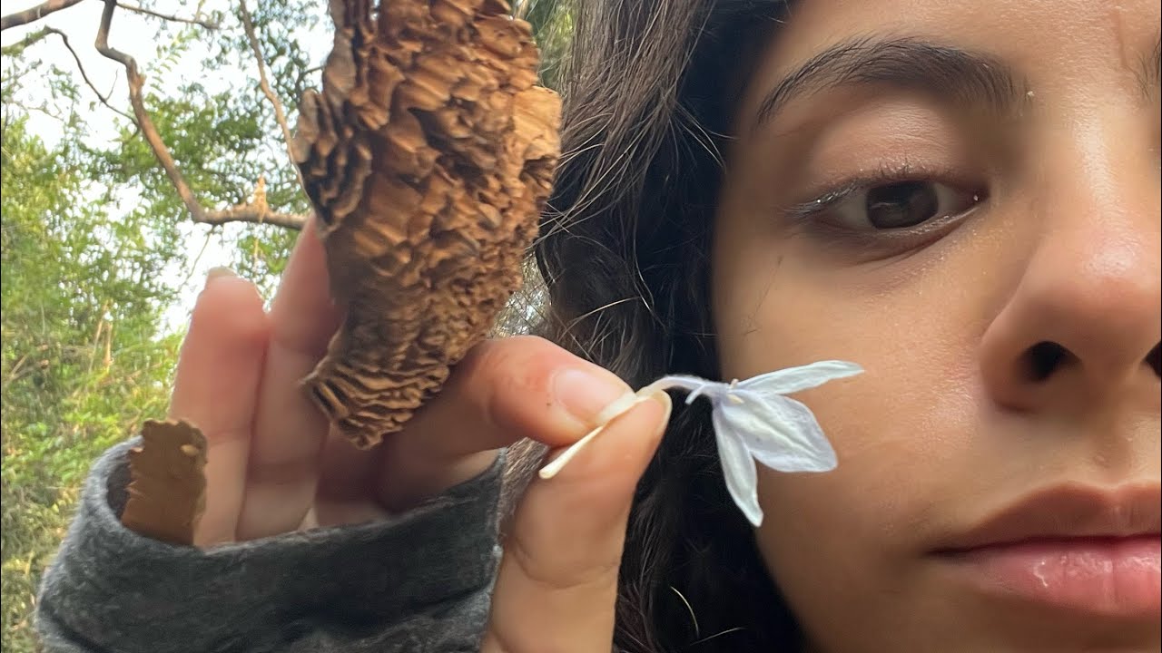 More yapping - YouTube