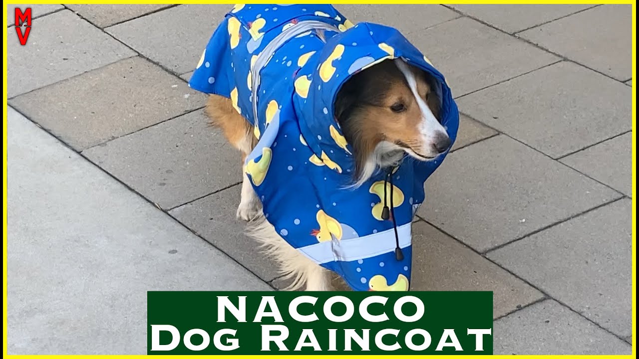 Keep Your Dog Dry! || Nacoco Dog Raincoat || MumblesVideos Product ...
