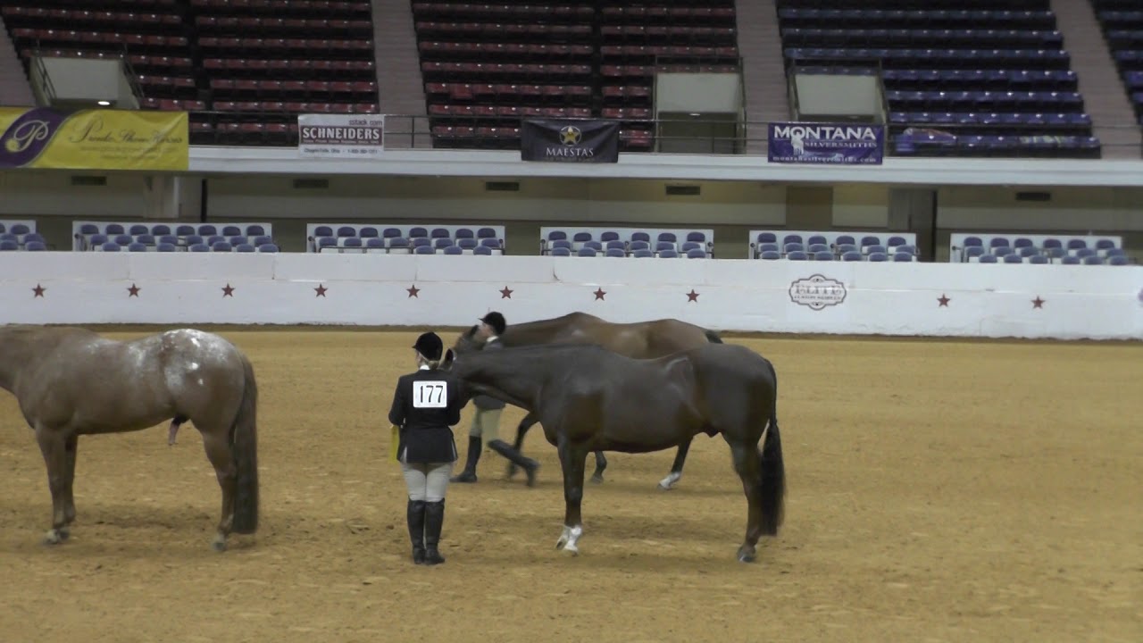 2019 07 02 ChloeA's Youth English Showmanship 14 18 AWARDS - YouTube