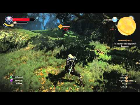 Witcher 3: Wild Hunt - Werewolf Fight Guide