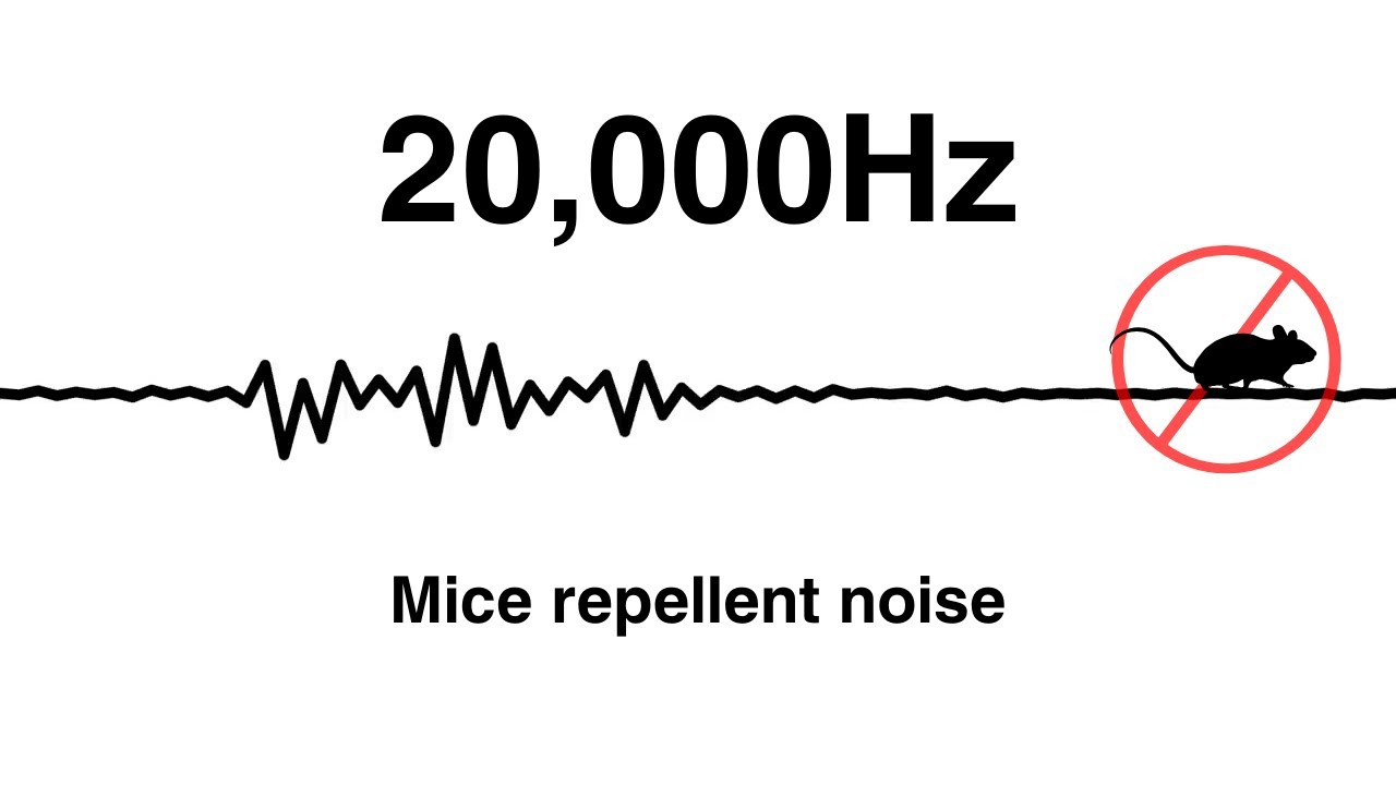[2h] 20000Hz Mice Repellent Noise – Ultrasonic Protection - YouTube