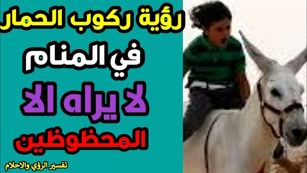 تفسيررؤىة ركوب الحمار فى المنام لابن سيرين Youtube