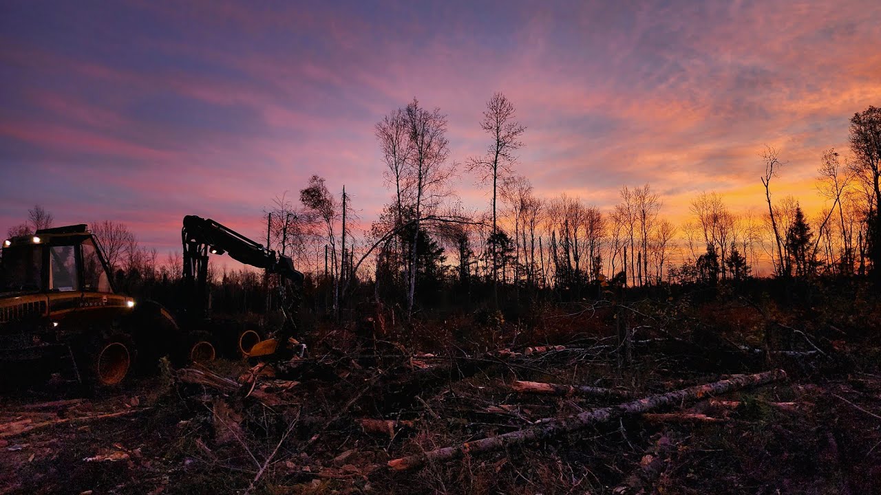 Best Logging Song Ever?! - YouTube