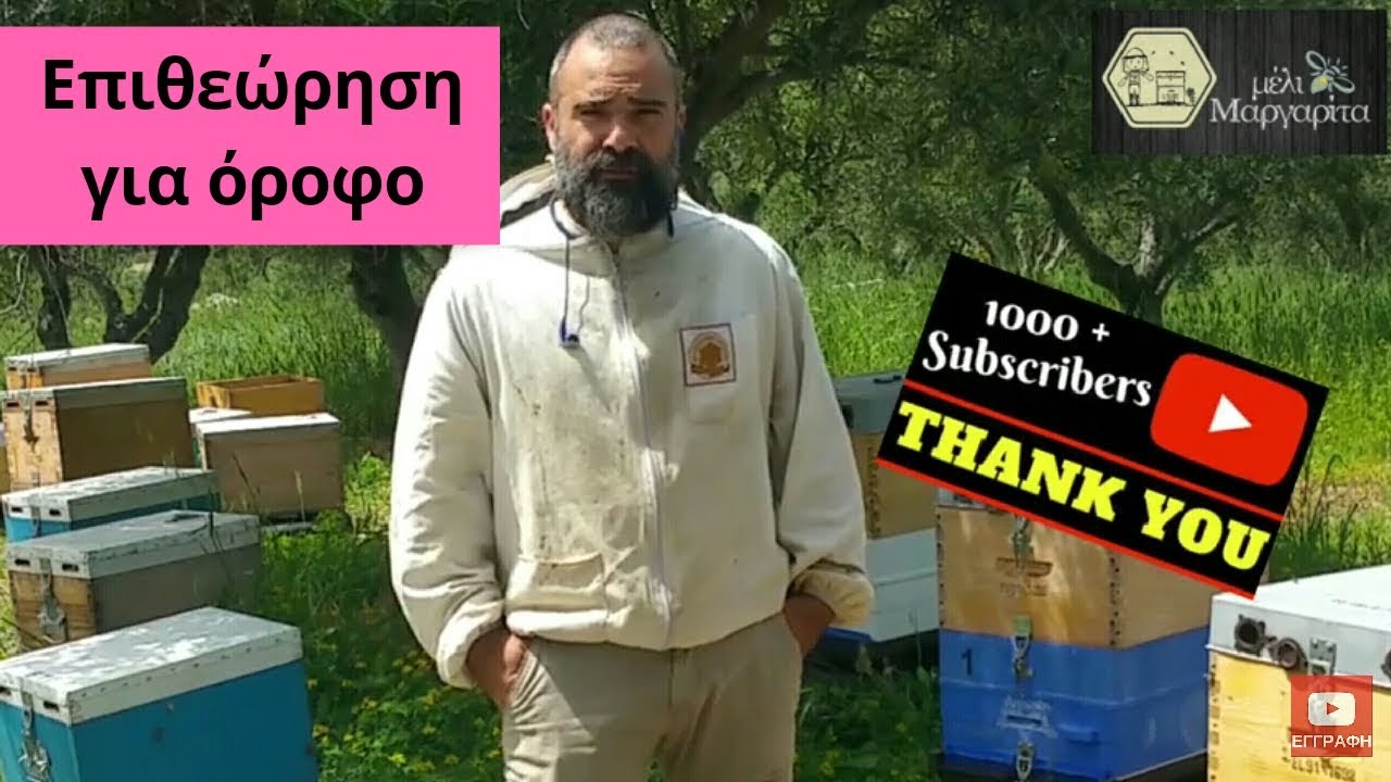 Επιθεώρηση μελισσιων για οροφο - Μέλι Μαργαρίτα - YouTube