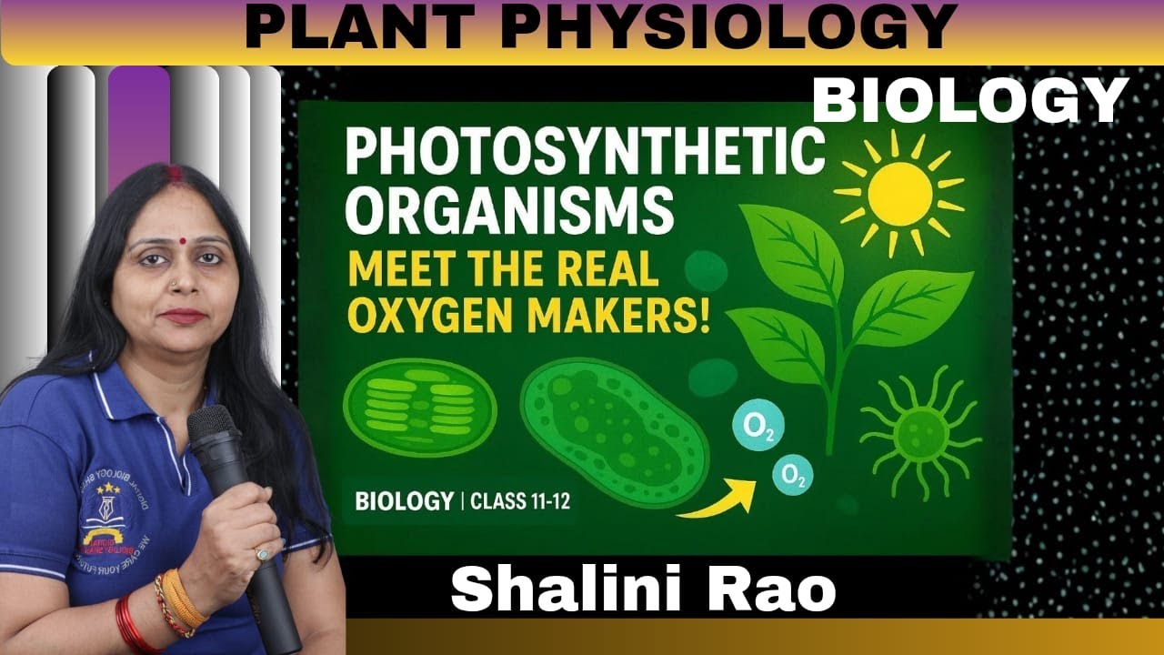 Photosynthetic Organisms 🌿 | The Real Oxygen Makers Explained! I How ...