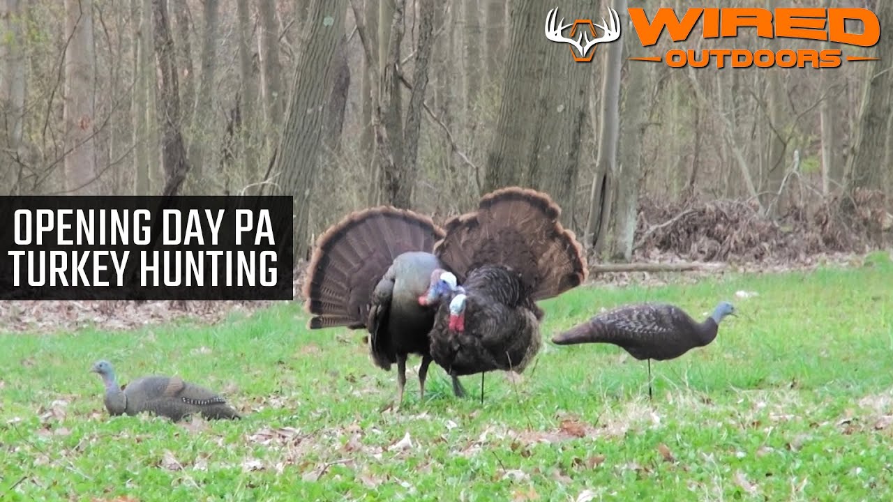 Pa Turkey Hunting Firearm Regulations at George Hodge blog