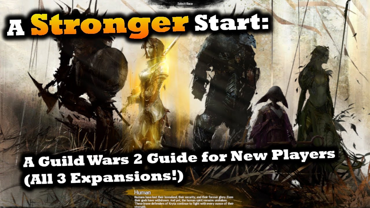 A Stronger Start: A Guild Wars 2 Guide for New Players 2024 (comedy ...