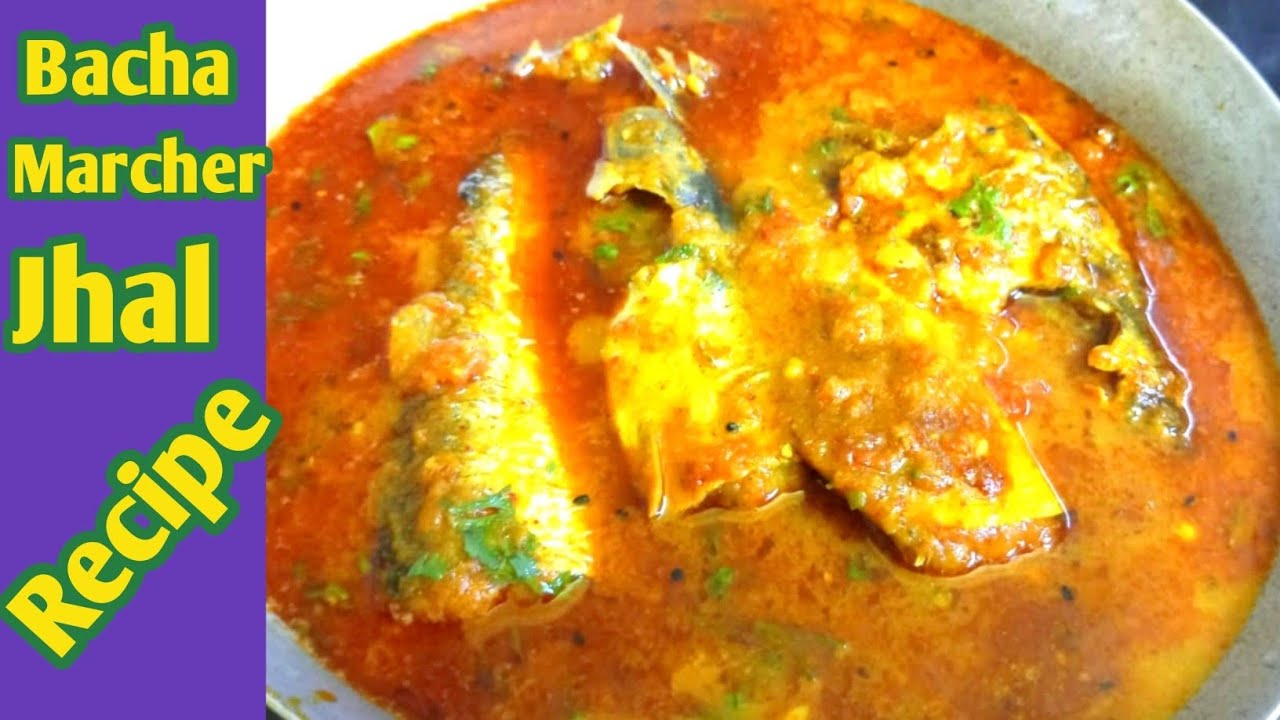 Bengali Style Bacha Macher Jhal Recipe | Bacha Mach Recipe | Bacha Fish ...
