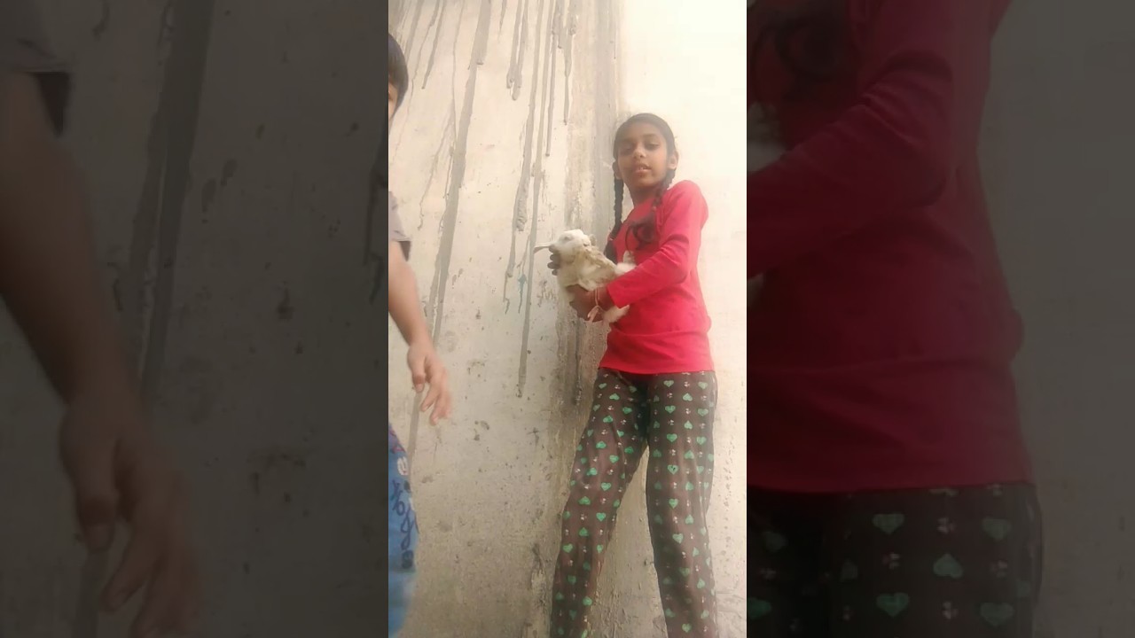 December 14, 2023 - YouTube