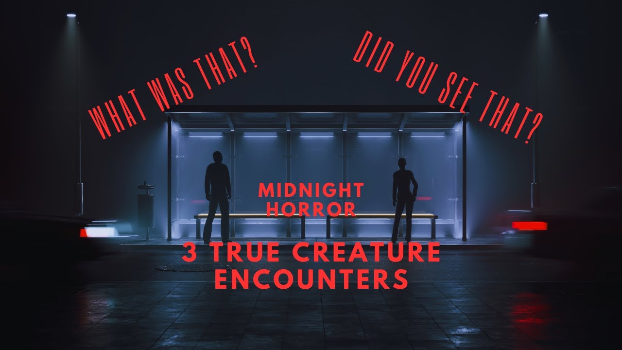 3 TRUE CREATURE ENCOUNTERS - YouTube