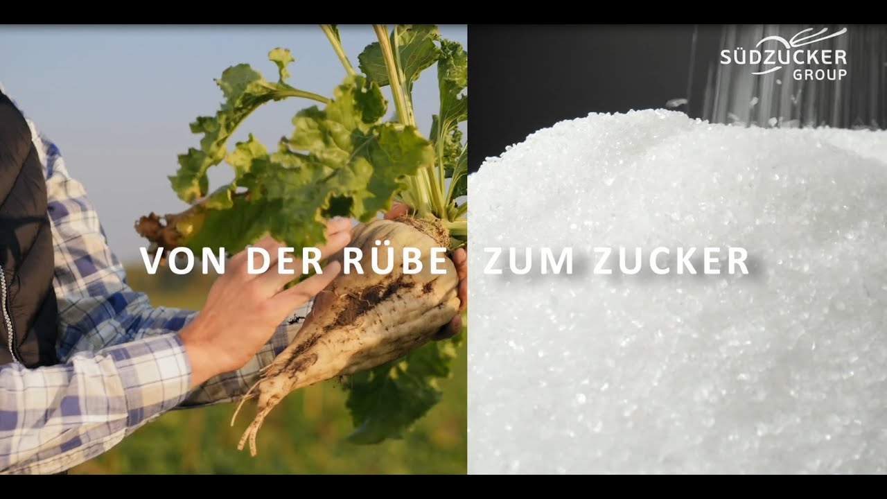 Südzucker: Von der Rübe zum Zucker - YouTube