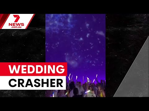 Ed Sheeran crashes wedding as surprise guest | 7NEWS