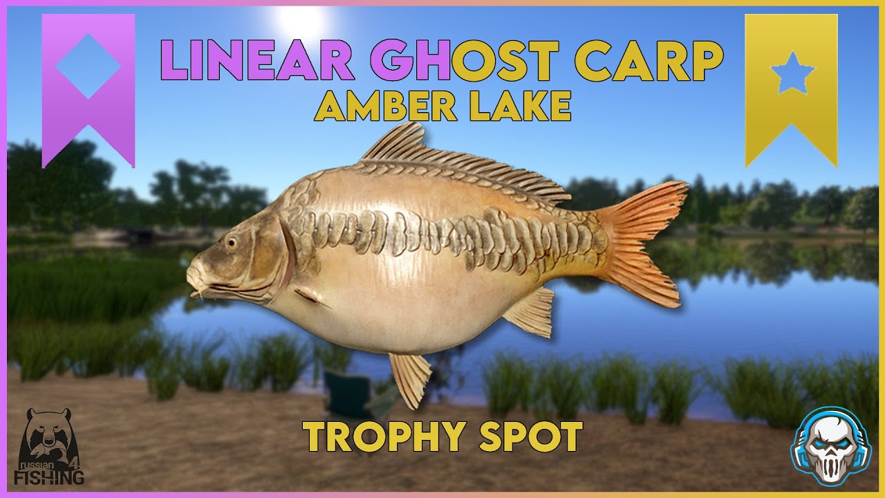 TROPHY LINEAR GHOST CARP - Russian Fishing 4 - RF4 - The Amber Lake - YouTube