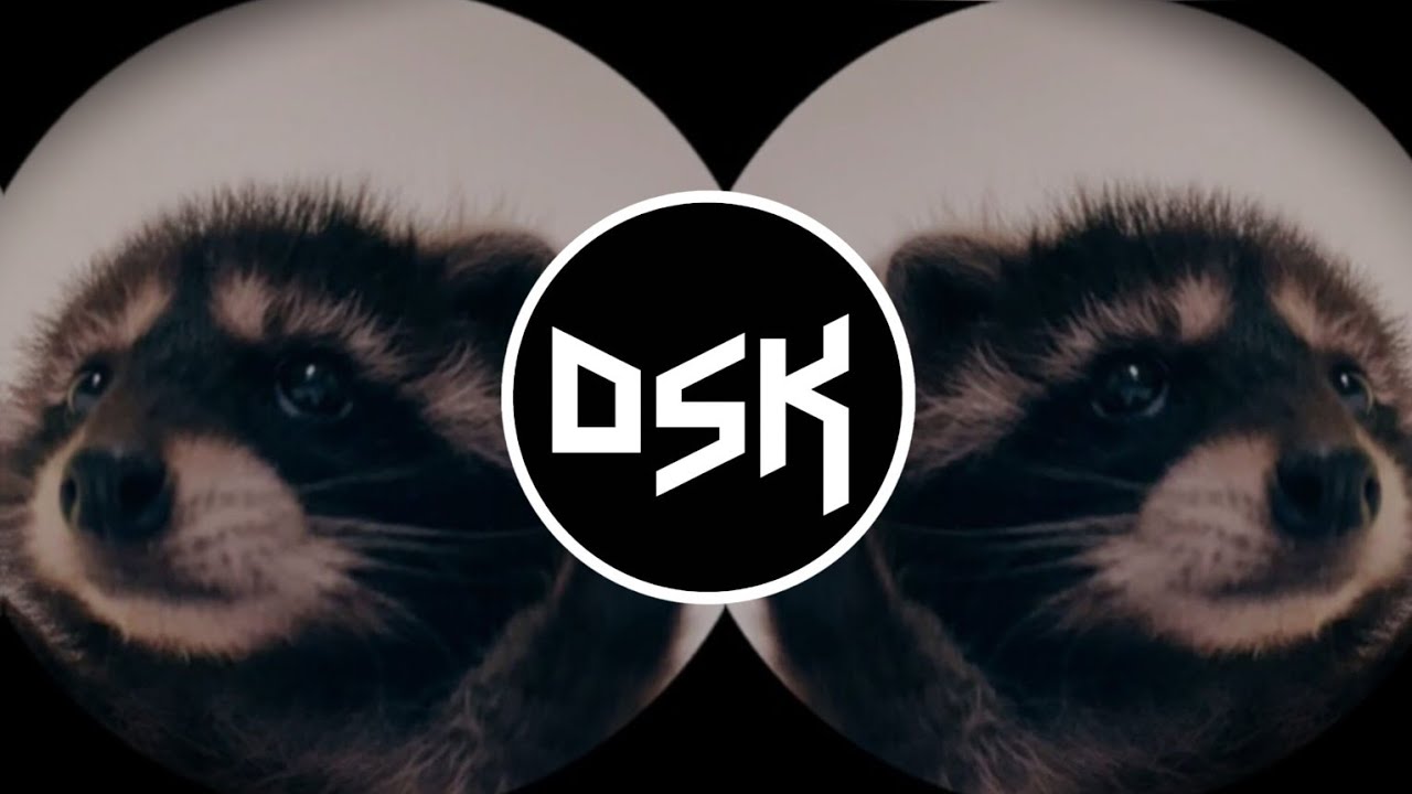 PEDRO PEDRO PEDRO (DUBSTEP REMIX) - Dancing Raccoon Song - YouTube