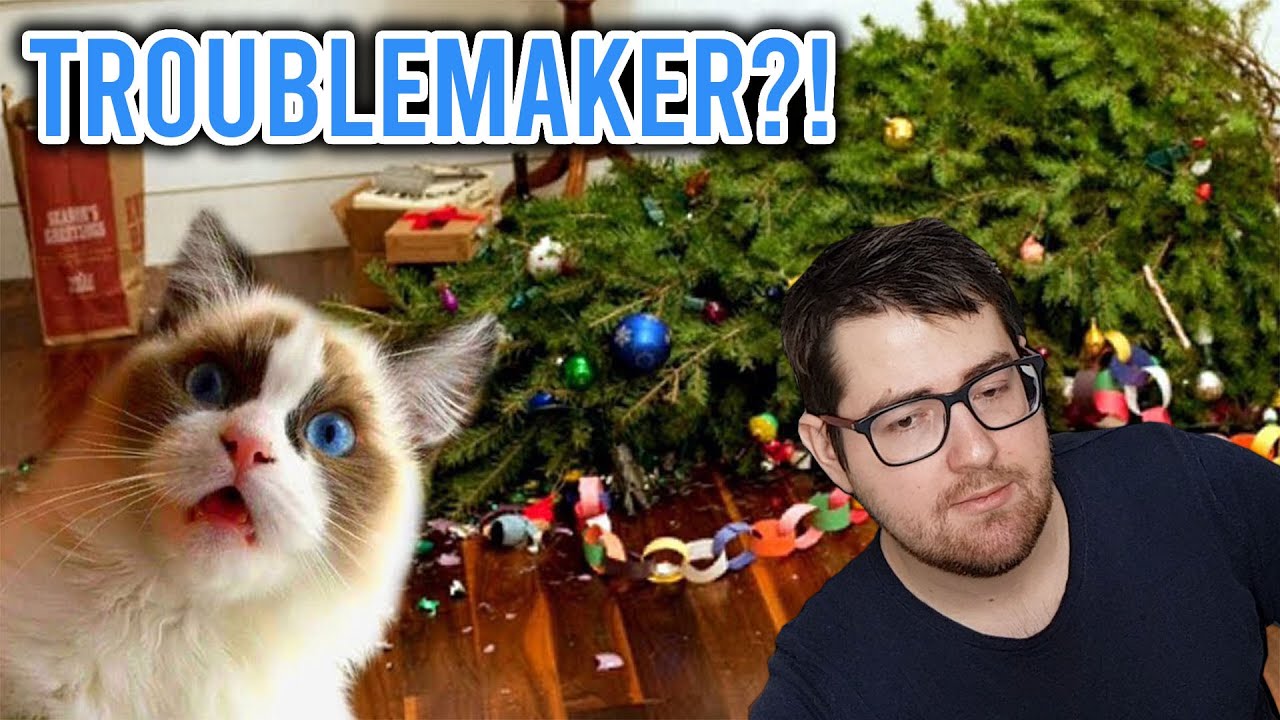 CATS VS CHRISTMAS TREE HILARIOUS COMPILATION REACTION (TROUBLEMAKERS ...
