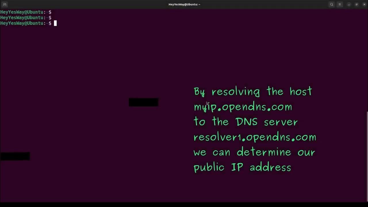 (2023-07-09) Linux Networking - How to use dig and opendns to determine ...