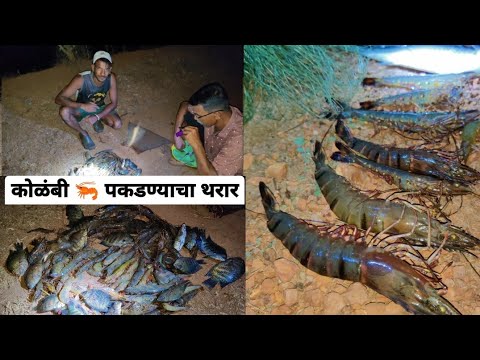 मोठ्या कोळंबीची काळोखातील मासेमारी 🦐 | Catching Tiger Prawns at night ...