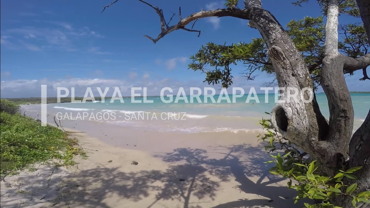 PLAYA EL GARRAPATERO GALAPAGOS - YouTube