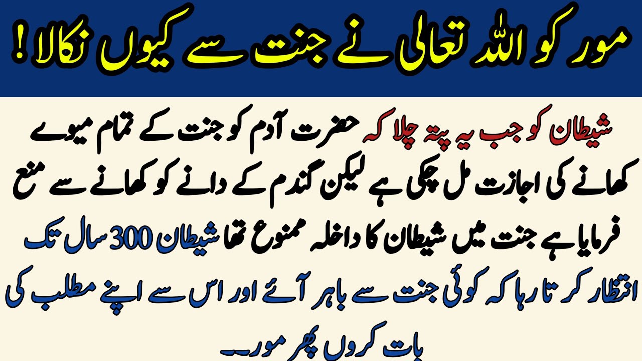Allah Ne Moor (مور) Ko Jannat Sy Kun Nikala ??| Islamic Waqiat ...