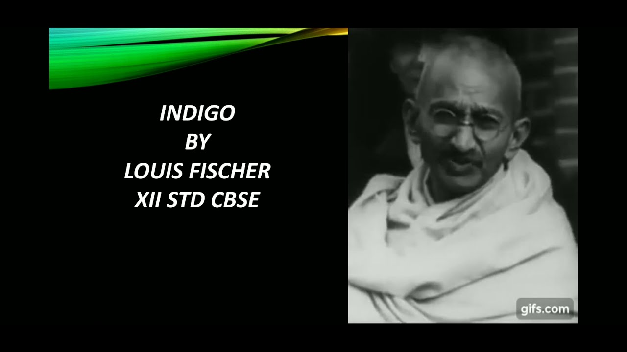 INDIGO IN TAMIL XII CBSE YouTube